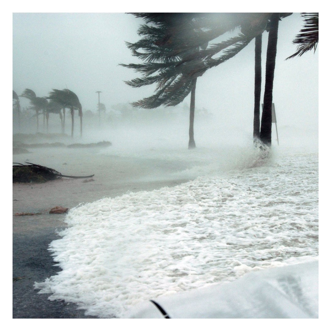 What to Expect Before, During & After a Hurricane
